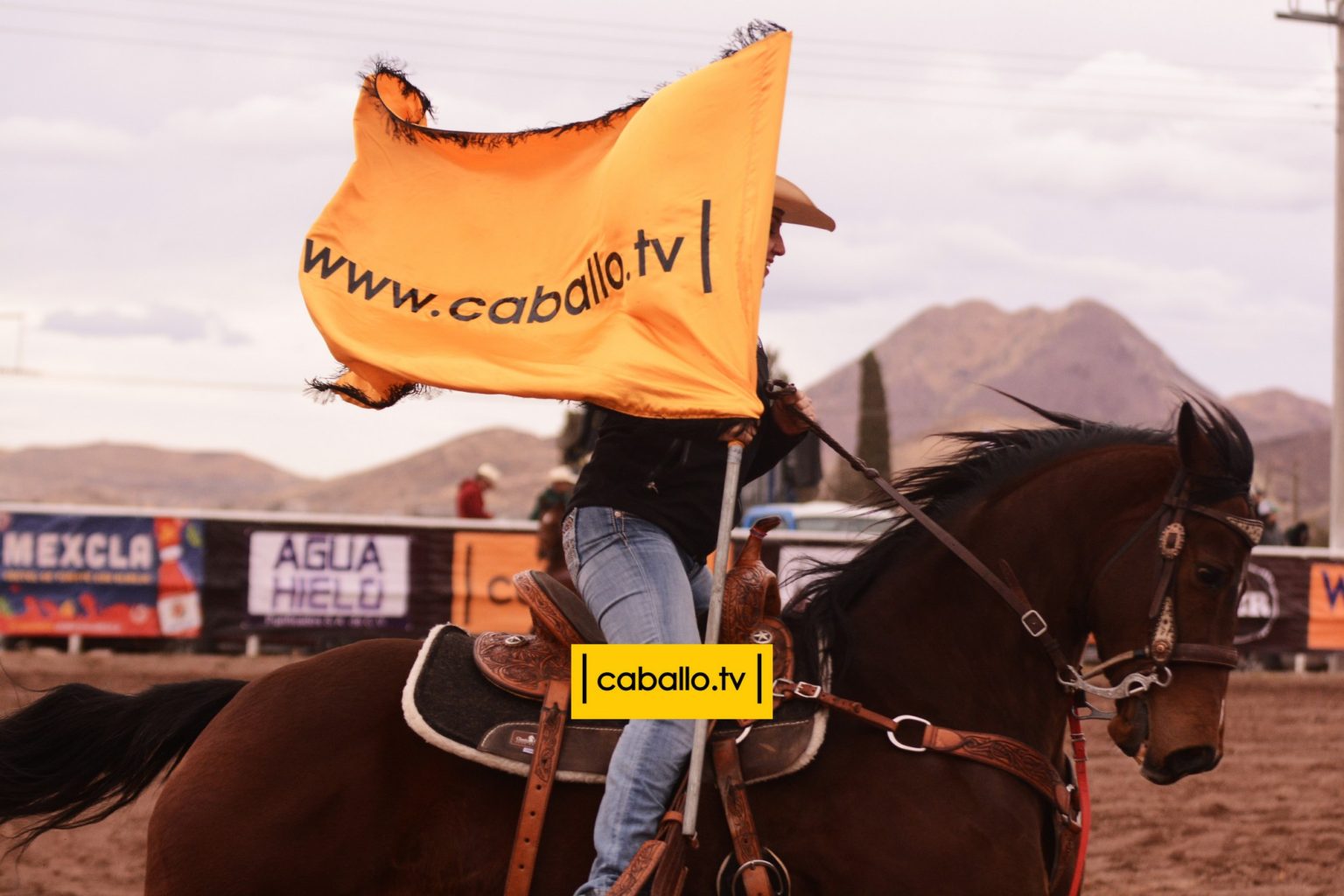 Hagamos un diagnóstico de nuestro caballo ⋆ www.caballo.tv