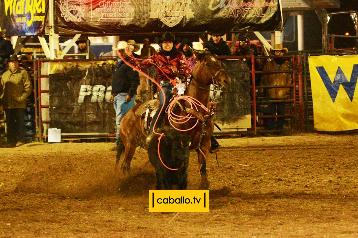 Lazo en falso y Lazo de becerros en la final del Campeonato Nacional de ...